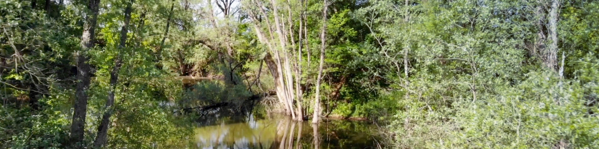 Rectory Pool | Bradwell | CAPS